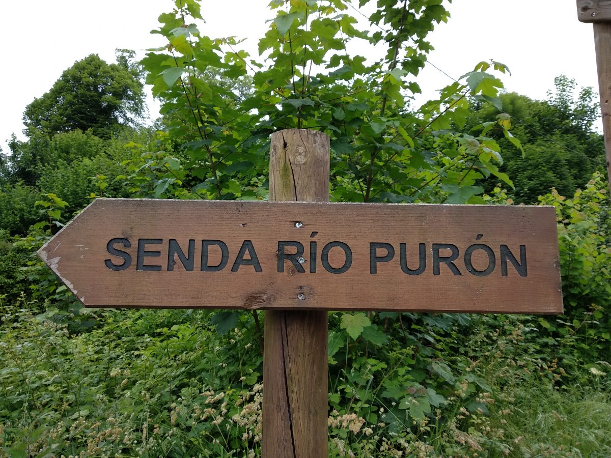 Purón river walk, near Llanes | Holiday Houses Primorías Llanes